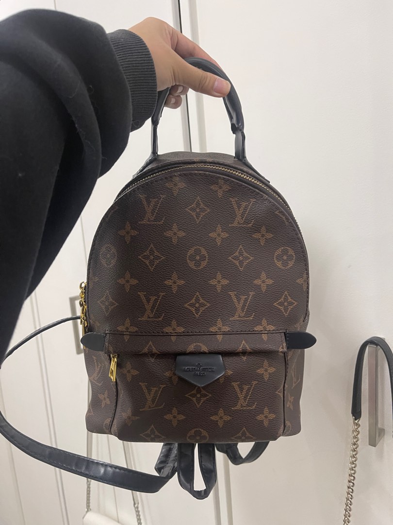 Louis Vuitton Palm Spring Mini Monogram Backpack, Luxury, Bags ...