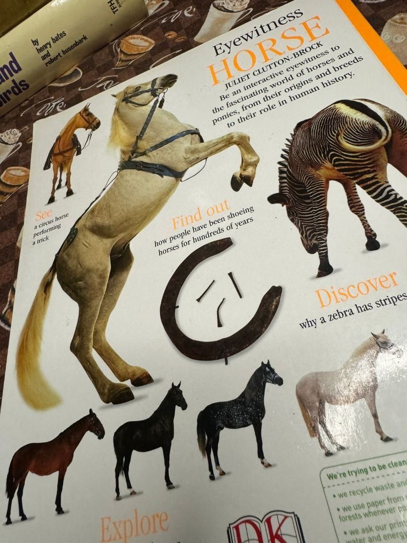 PAPERBACK 2008 DK Horse CD Pony Mule Donkey Dorling Kindersley Animal ...