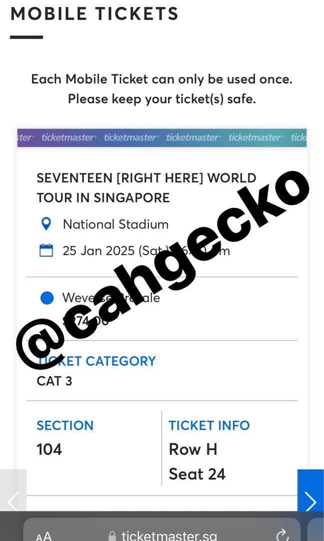 Seventeen [RIGHT HERE ] World Tour Singapore, Tickets & Vouchers, Event Tickets on Carousell