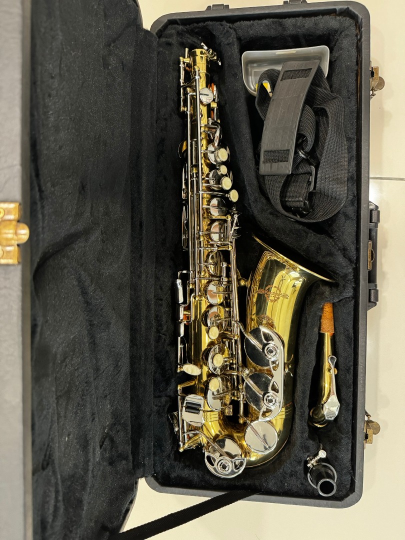 Maxtone Eb Alto Saxophone, Hobbies & Toys, Music & Media, Musical ...