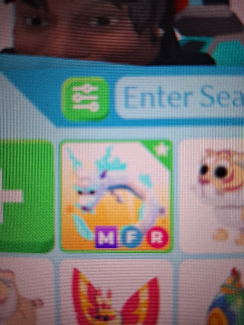 Roblox adopt me mega neon frost fury, Video Gaming, Gaming Accessories ...