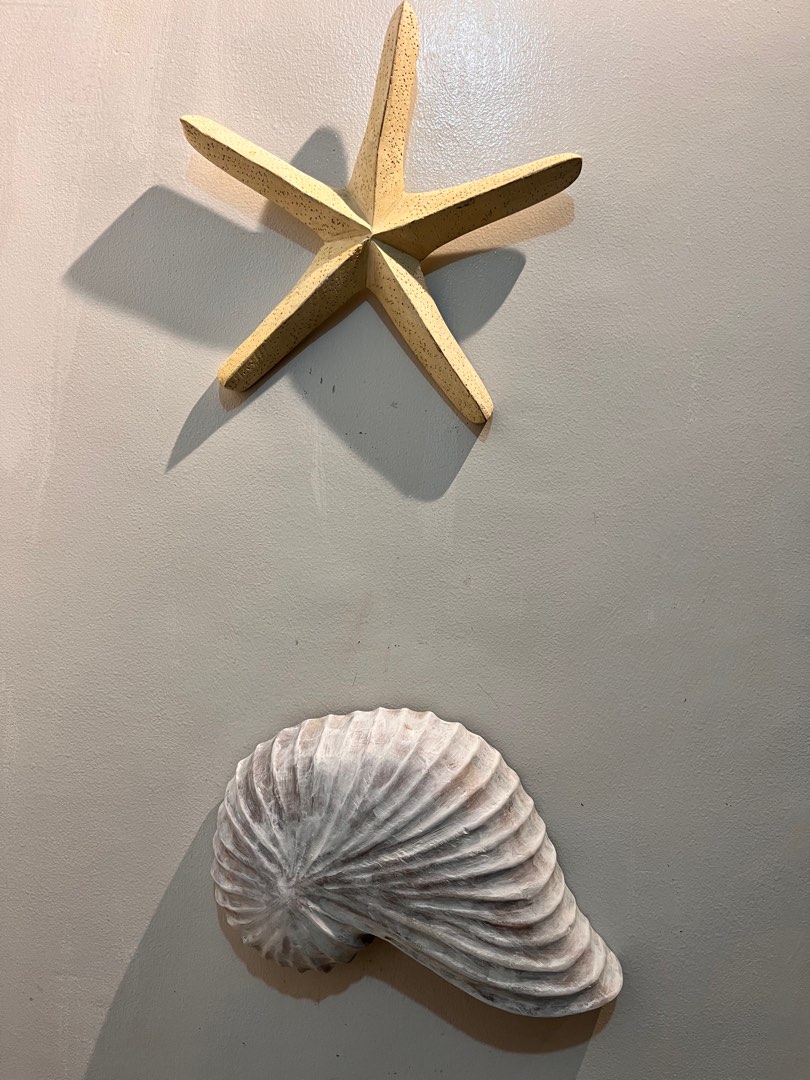 Shell Wall Decor, Furniture & Home Living, Home Decor, Other Home Decor ...