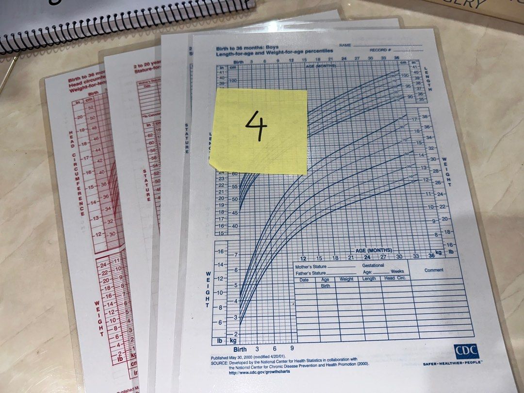 Growth Chart - Paediatric, Health & Nutrition, Medical Supplies & Tools ...