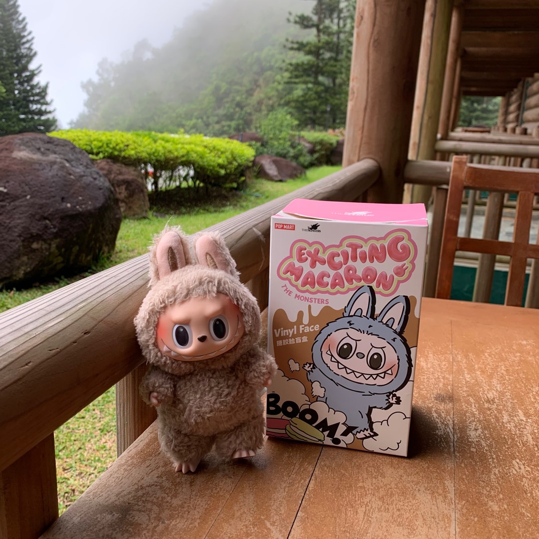 Labubu Macaron Toffee, Hobbies & Toys, Toys & Games on Carousell