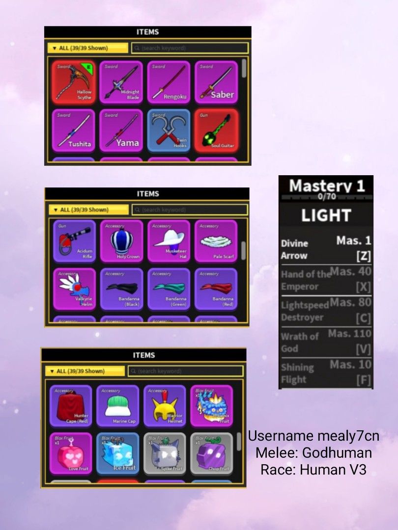 Unverify Blox Fruits Account C001, Video Gaming, Video Games, Others on ...