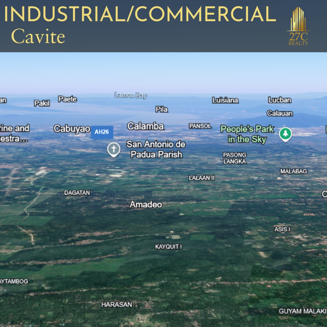 Prime 1-Hectare Lot for Industrial or Commercial Use in Amadeo, Cavite ...