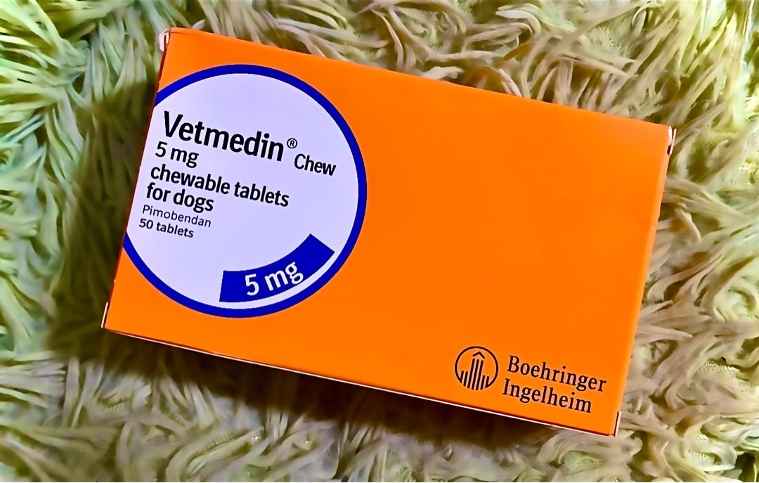 Vetmedin (Pimobendan) 5mg chewable tablet, Pet Supplies, Health & Grooming on Carousell