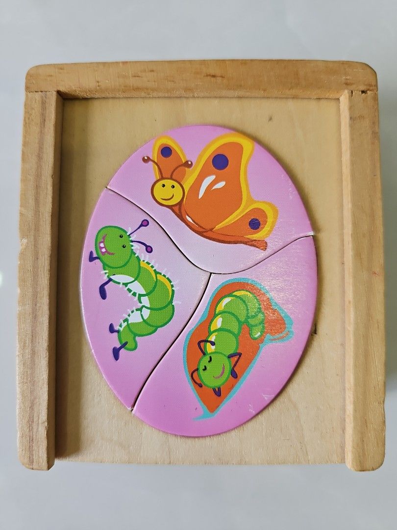 Wooden Life Cycle Box, Hobbies & Toys, Toys & Games on Carousell