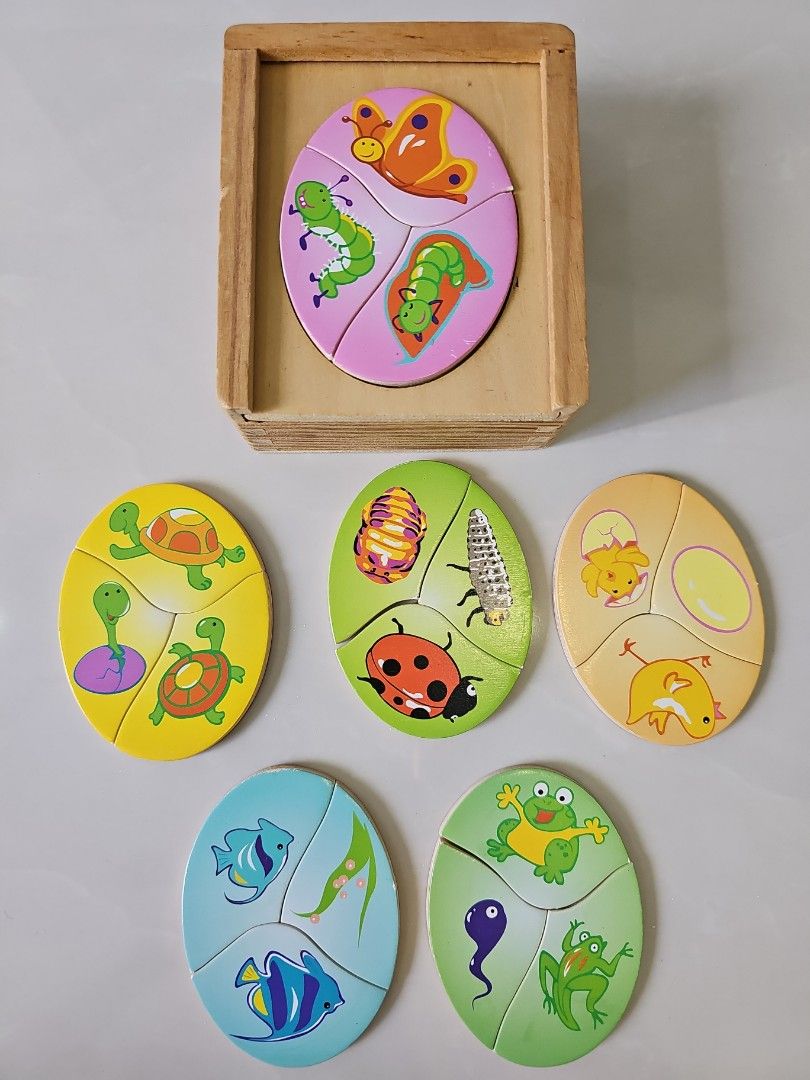 Wooden Life Cycle Box, Hobbies & Toys, Toys & Games on Carousell
