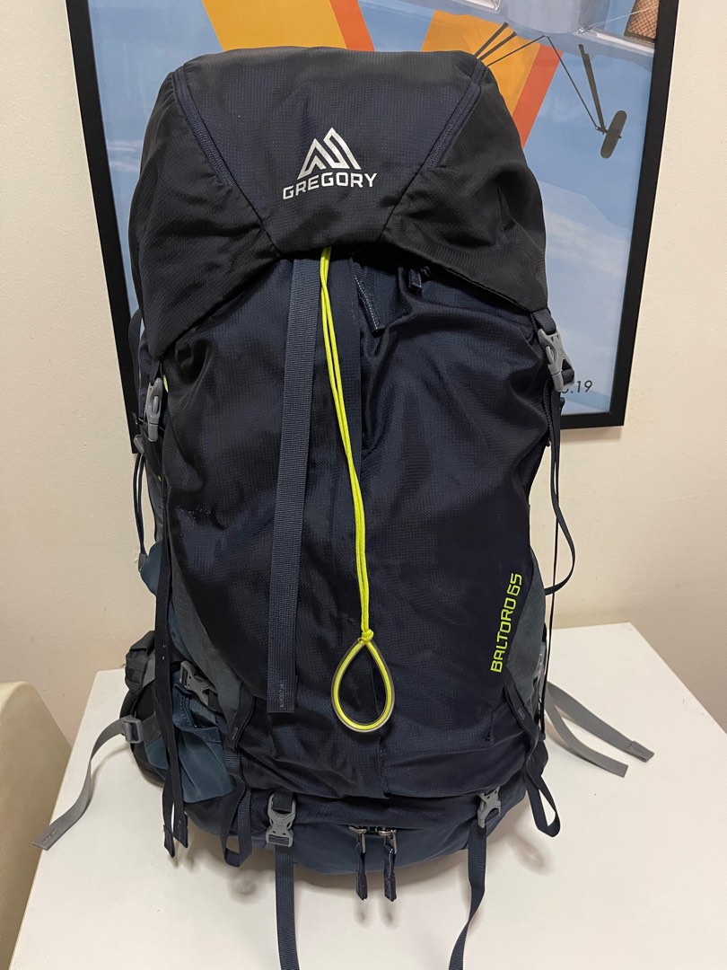 Gregory Baltoro 65l hiking backpack, Men's Fashion, Bags, Backpacks on ...