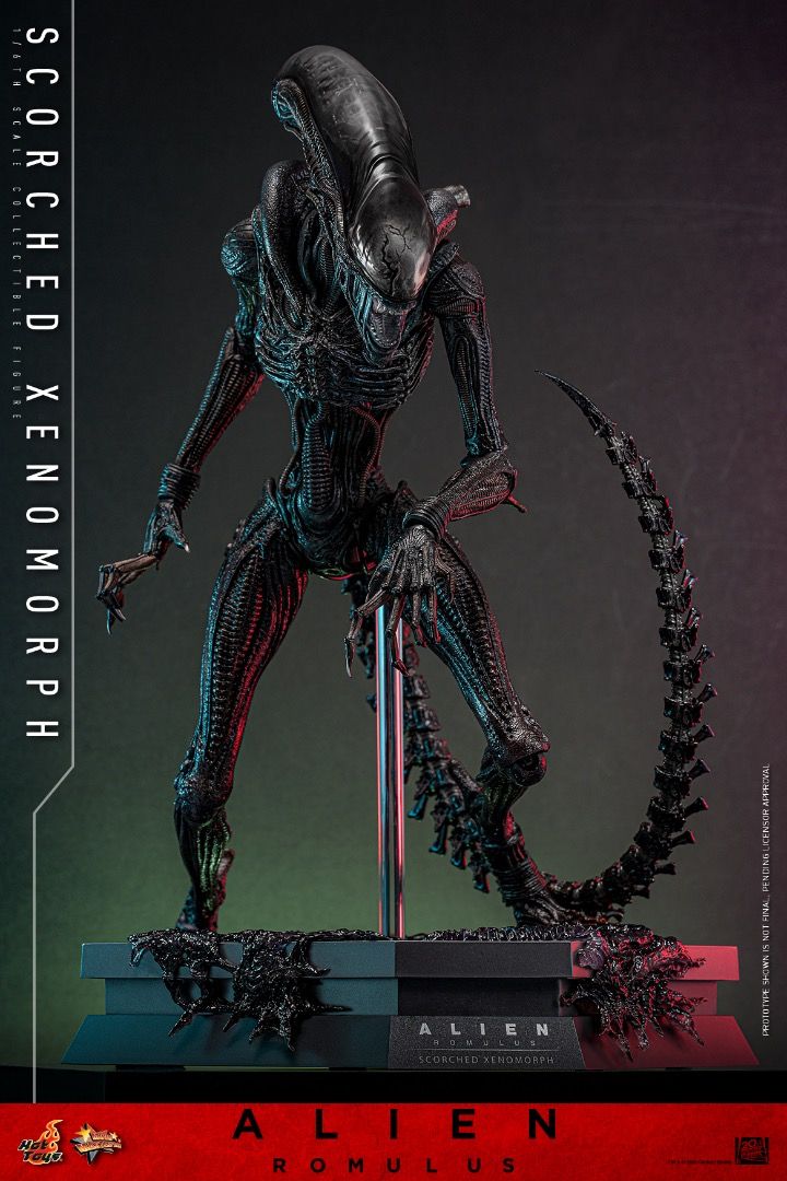 Hot Toys MMS784 Alien: Romulus 1/6th scale Scorched Xenomorph ...