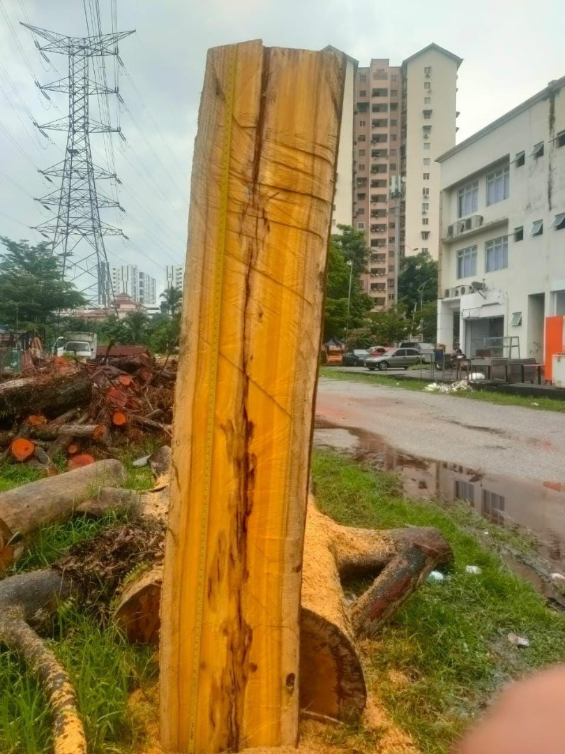 RAW SOLID WOOD, Furniture & Home Living, Furniture, Tables & Sets on ...