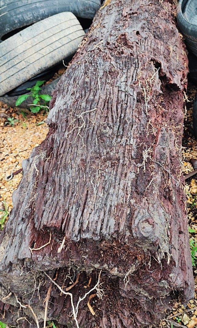 Rustic Kayu Cengal Wooden Masterpiece..., Furniture & Home Living ...