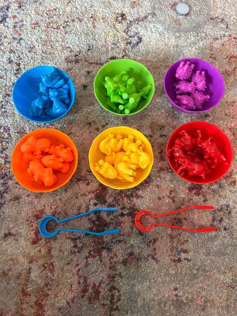 Animal/Color Sorting Toy, Hobbies & Toys, Toys & Games on Carousell