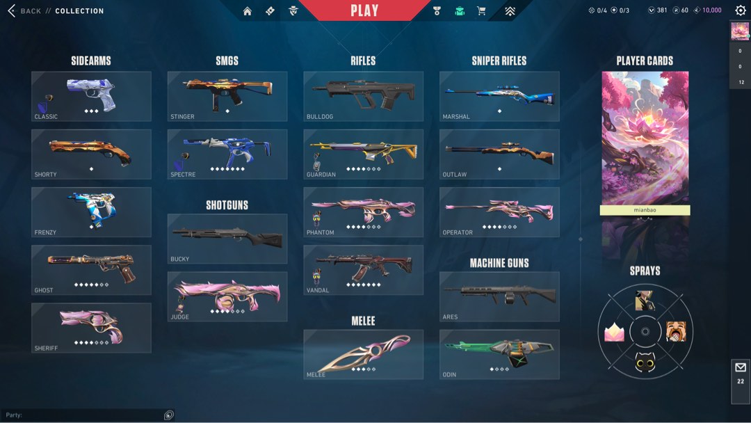 Mystbloom & other bundles Valorant Account, Video Gaming, Gaming ...