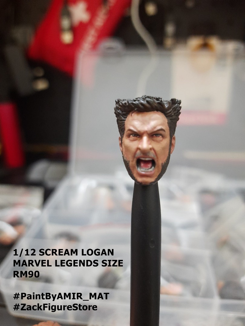 1/12 Custom Head X - Men Logan, Hobbies & Toys, Toys & Games on Carousell