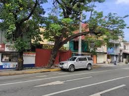 Rush Sale 80m2 LA 2STY 2BR House SINGALONG STREET NEAR CORNER QUIRINO ...