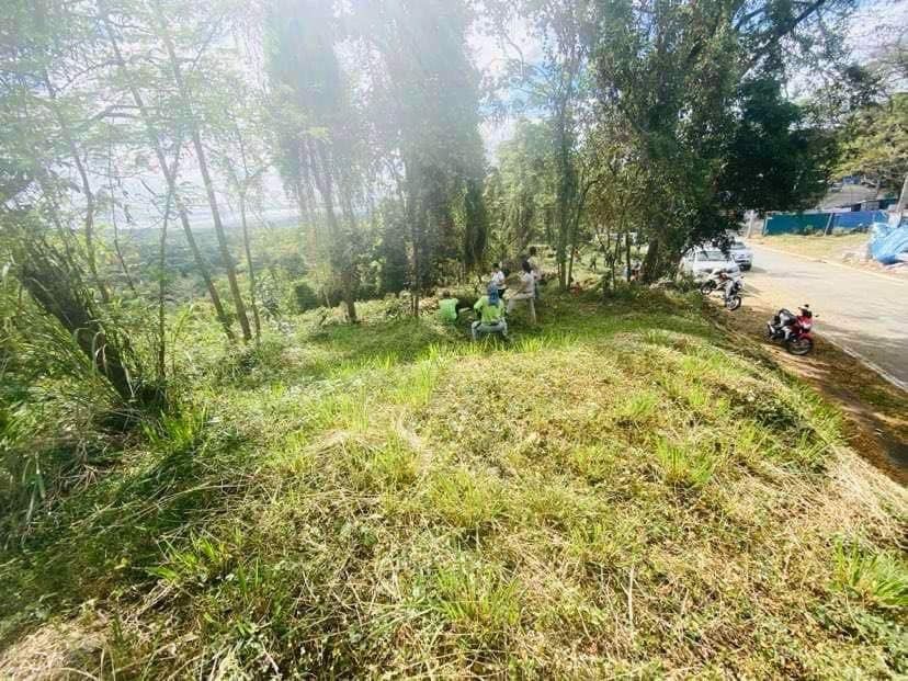 RUSH SALE!! 880sqm - Forest Farm in Brgy. Mabahang Parang, Angono Rizal ...