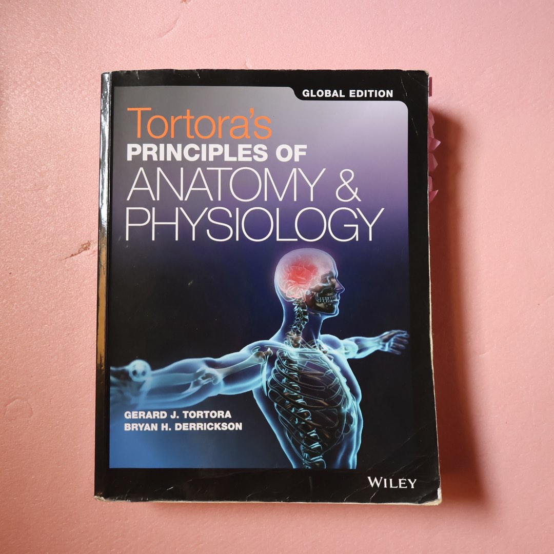 Tortora's Principles of Anatomy & Physiology Book, Hobbies & Toys ...