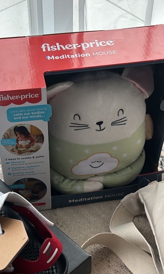 Fisher Price Meditation Mouse, Bayi & Anak, Mainan & Baby Walker di ...