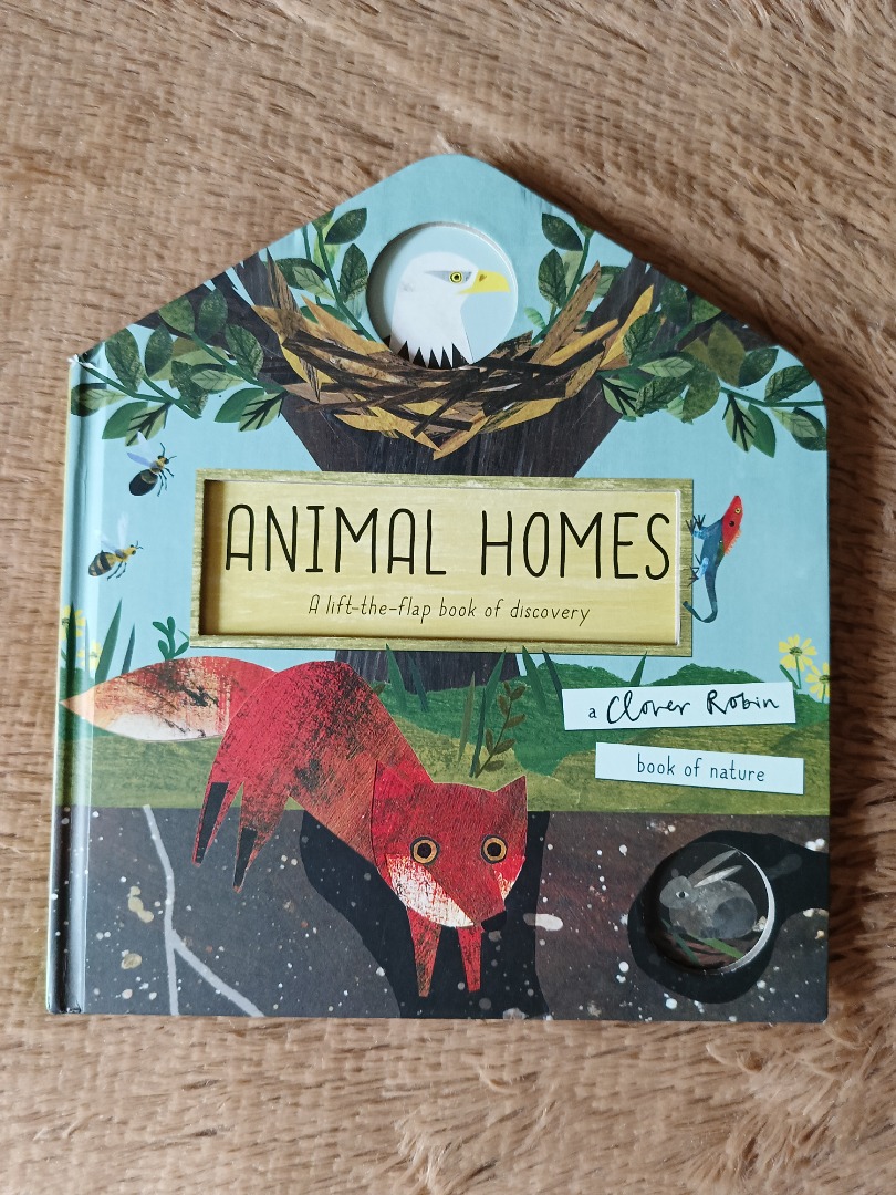 Interactive books (lift the flap, flip the flap), Hobbies & Toys, Books ...