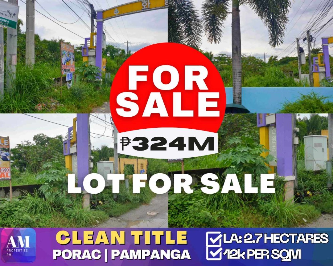 Lot for sale Manibaug Porac, Pampanga 2.7 Hectares, clean title ...