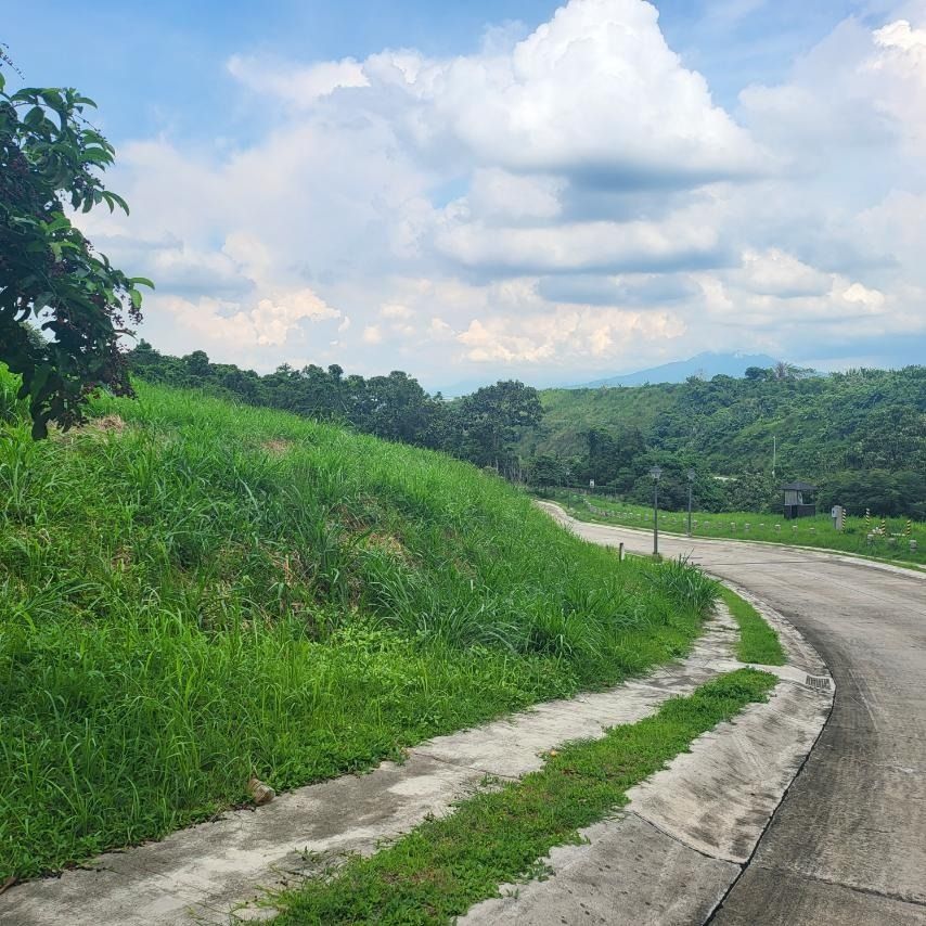 430 Sqm Inner Lot For Sale In Ayala Westgrove Heights Overlooking Mt ...