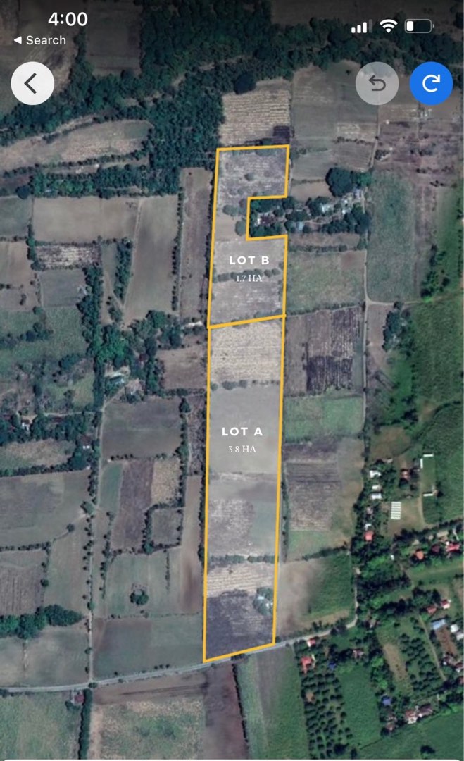 Fully developed Farm lot w/income in Tuy Batangas, Property, For Sale ...