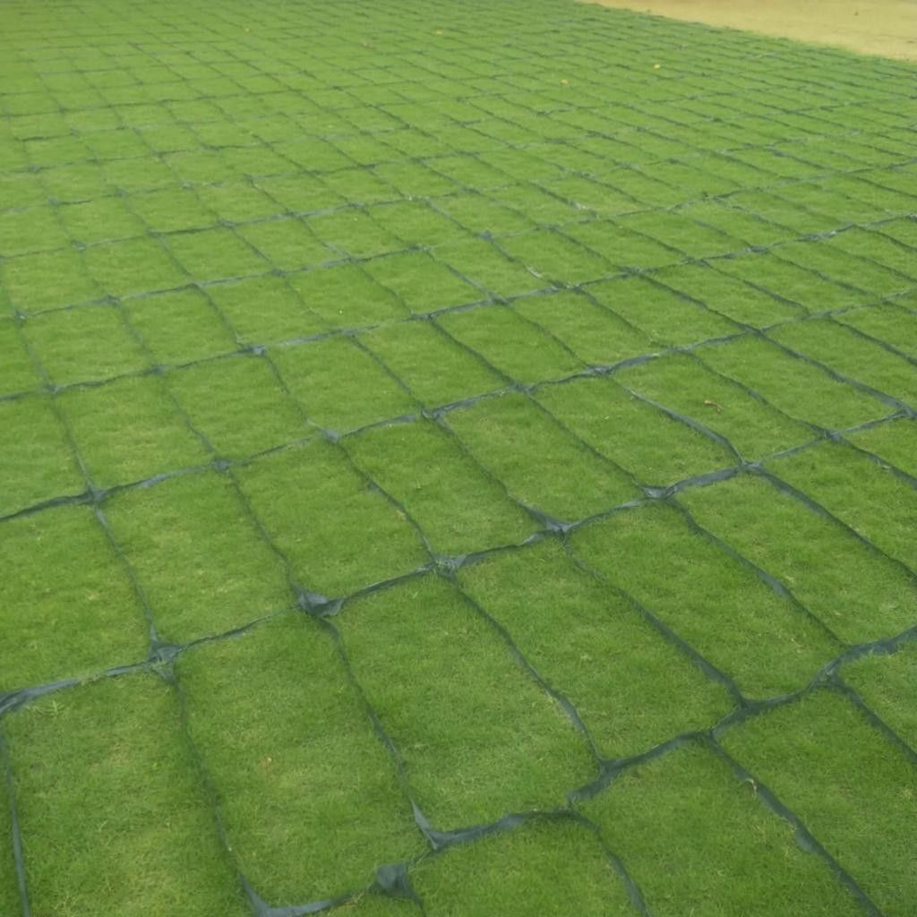 Tanam rumput mesin rumput, Furniture & Home Living, Gardening, Grass ...