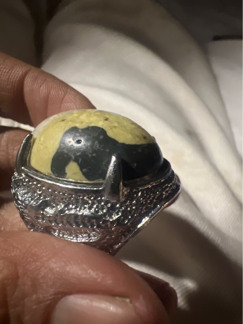 Batu Ular Langka Pancasila Tiga Warna Pelbagai Motif | Naga, Harimau ...