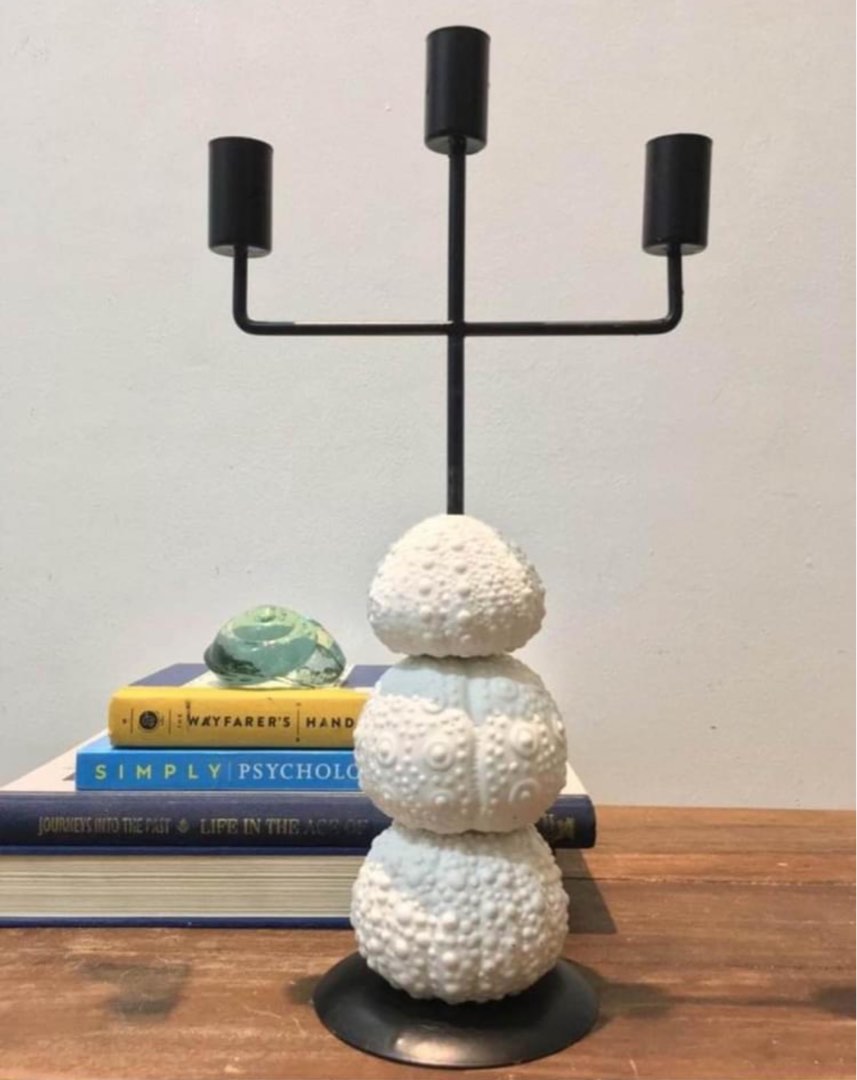 Ceramic Sea Urchins Candle Sticks Holder, Furniture & Home Living, Home ...