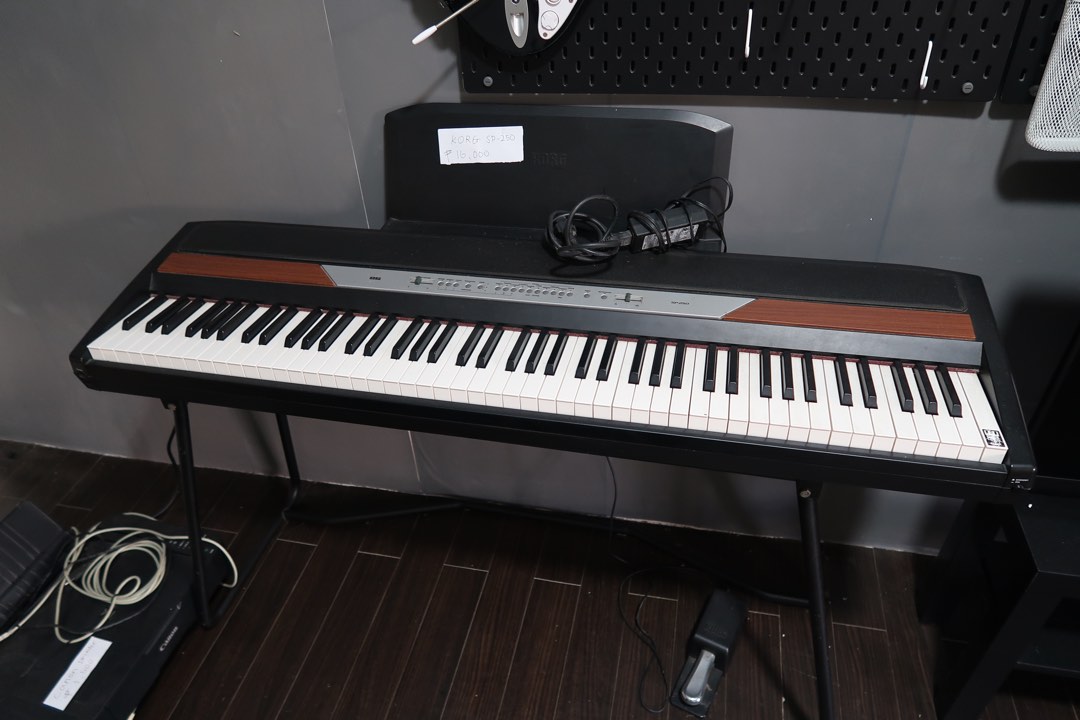 KORG Sp-250 piano keyboard, Hobbies & Toys, Music & Media, Musical ...
