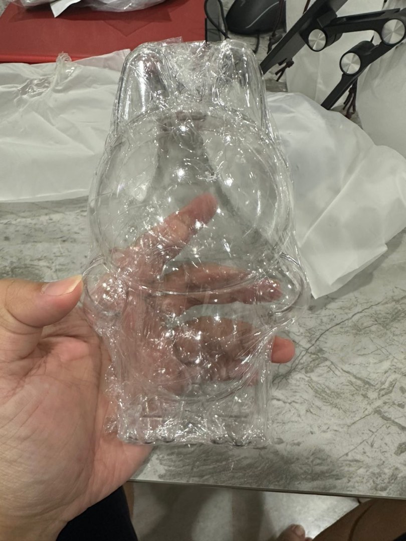 Labubu case, Hobbies & Toys, Toys & Games on Carousell