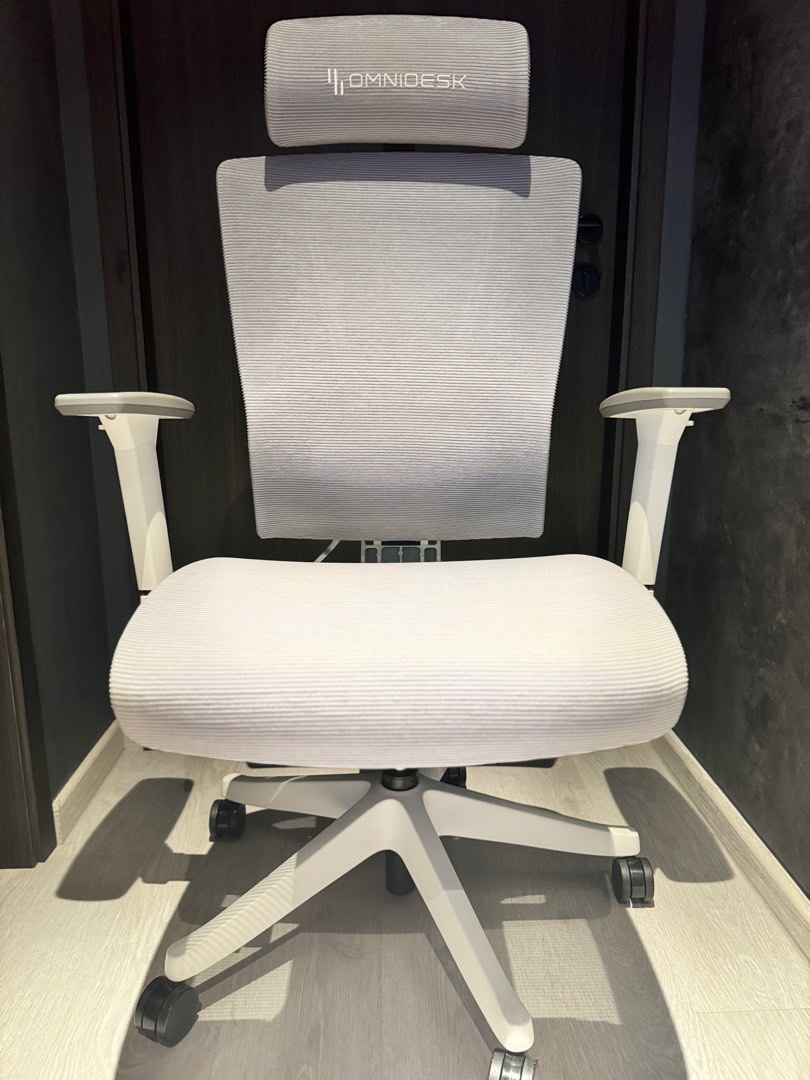 OMNIDESK Embrace Pro Mesh Office/Gaming Chair, Furniture & Home Living ...