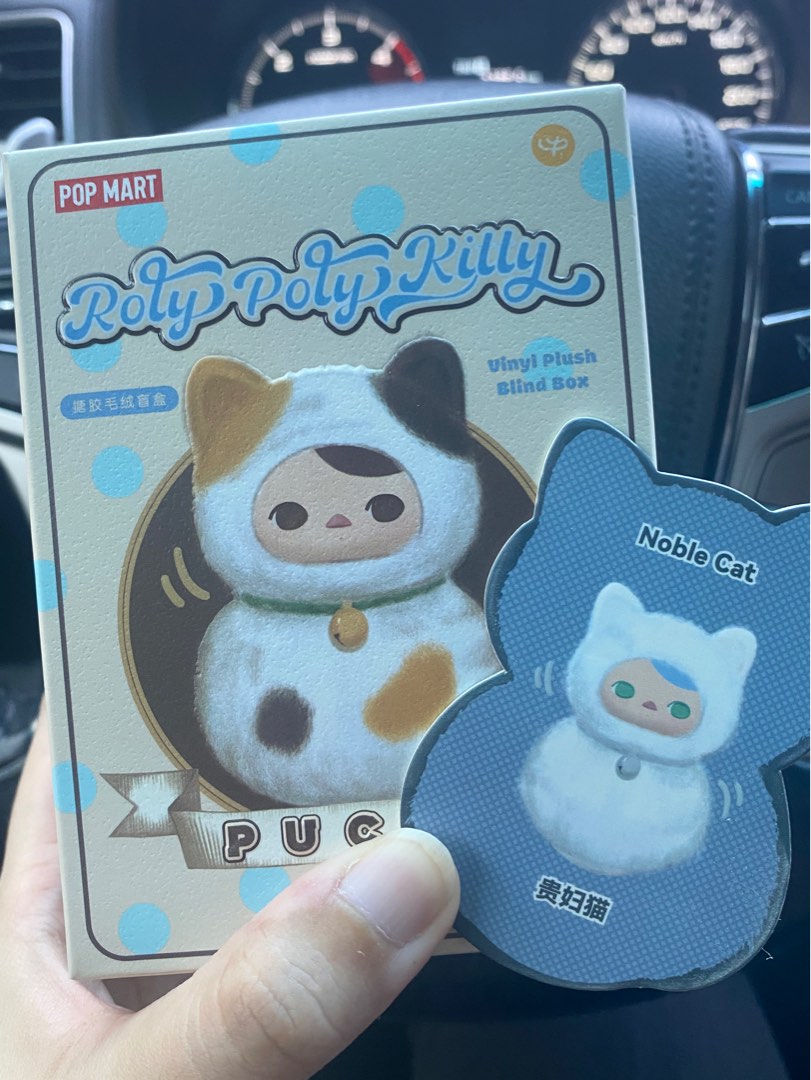 Popmart Pucky Roly Poly Kitty Noble Cat Sealed Foil Blind Box, Hobbies ...