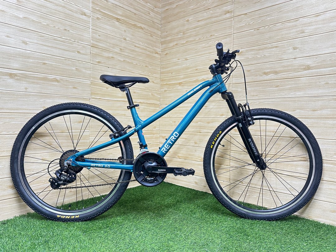 26" MTB Raleigh Retro 24s, Sports Equipment, Bicycles & Parts, Bicycles ...