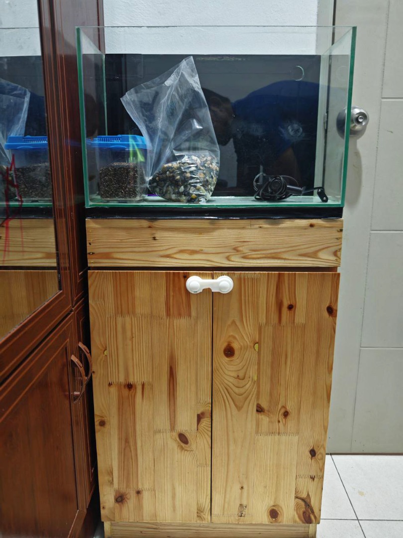 Aquarium Sekali Cabinet Cermin Tebal Free Pump Batu Pasir, Everything ...