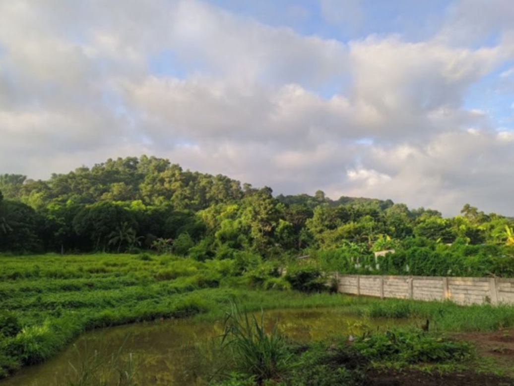FOR SALE - Lot in Brgy. Pinugay, Baras, Rizal, Property, For Sale, Lot ...