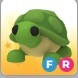 FR Turtle (Adopt Me), Video Gaming, Gaming Accessories, In-Game ...