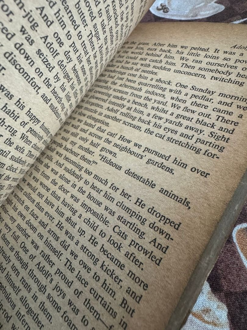 MMPB 1969 D.H. Lawrence Biography English Literature Novelist Writer ...