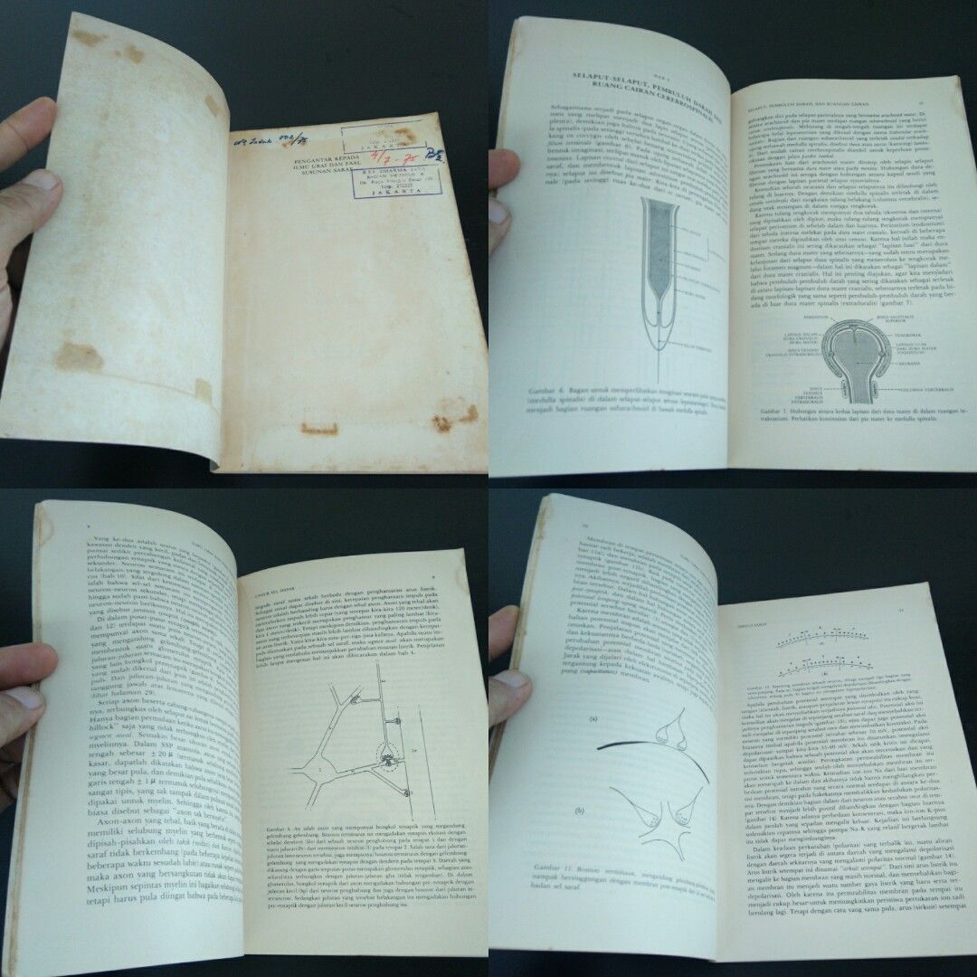 Pengantar kepada Ilmu Urat dan Faal Susunan Saraf - David Bowsher, Buku ...