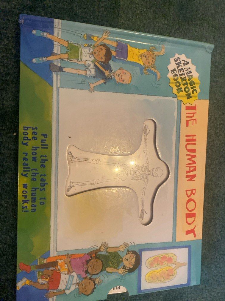 Human body pull out tab illustrated book, Hobbies & Toys, Books ...