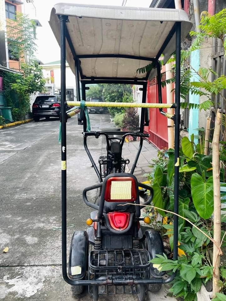 Johnson E-bike (Harmony 2021) - 3-wheels - 1st owned, Motorbikes ...