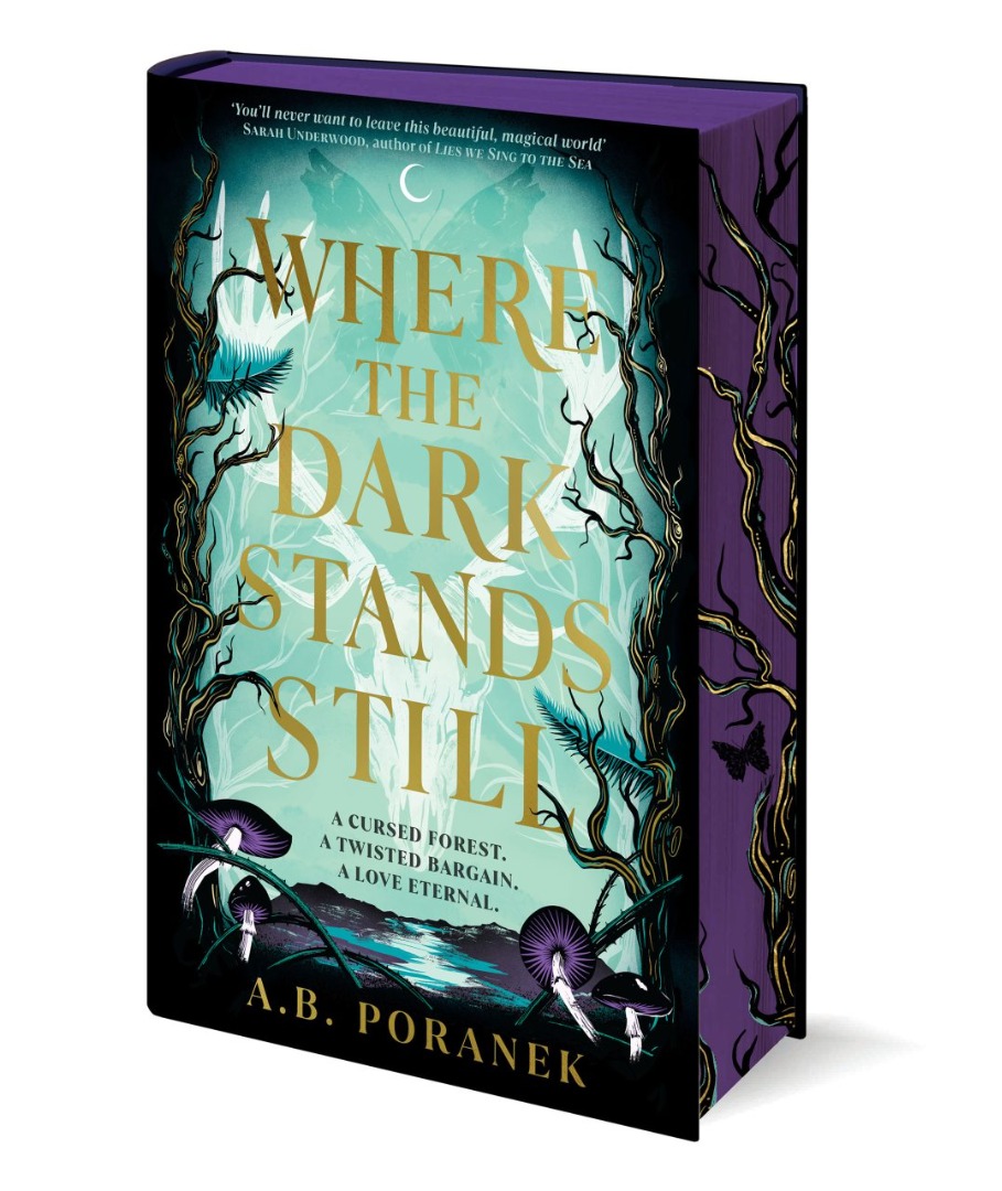 [ON HAND] Waterstones Where The Dark Stands Still, Hobbies & Toys ...