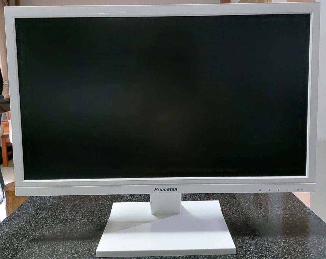 PRINCETON 21.5 LED MONITOR, Computers & Tech, Parts & Accessories ...