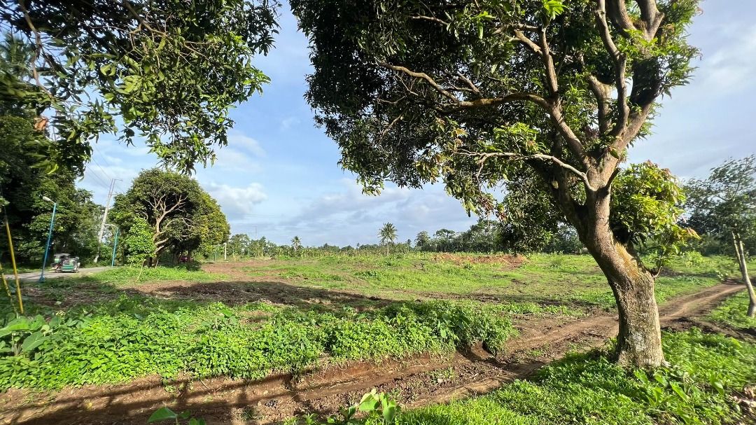 5 Years to pay! Alfonso Cavite Farm Lot for sale near Tagaytay , Property, For Sale, Lot on ...