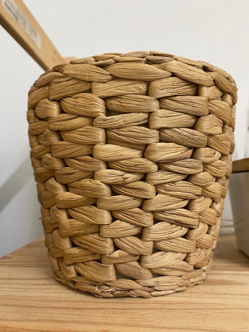 IKEA FRIDFULL Water Hyacinth 12cm - Plant Pot, Furniture & Home Living ...