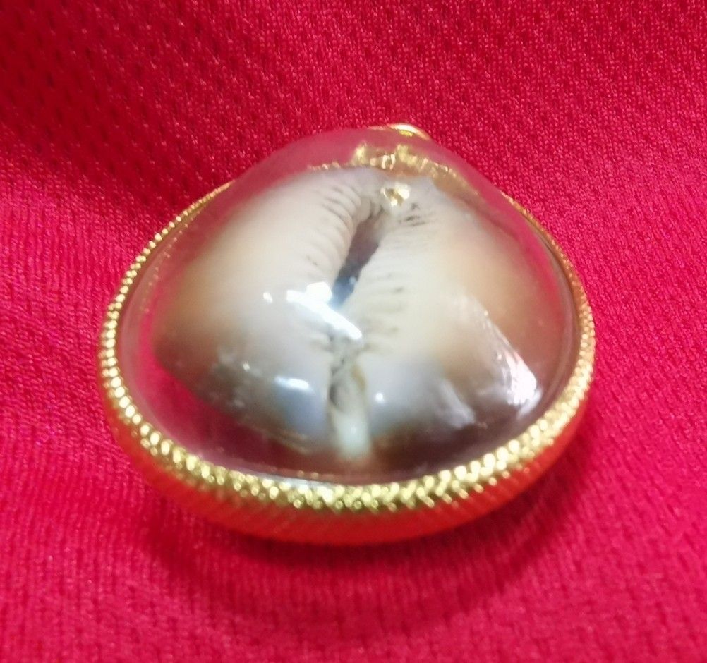 Famous Monks in Thailand Natural Shell Bia Kae Phra Phong Duang Setthi ...