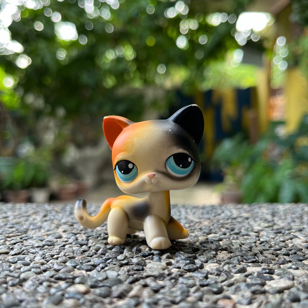 LPS LITTLEST PET SHOP CALICO SHORTHAIR CAT #106, Hobbies & Toys, Toys ...
