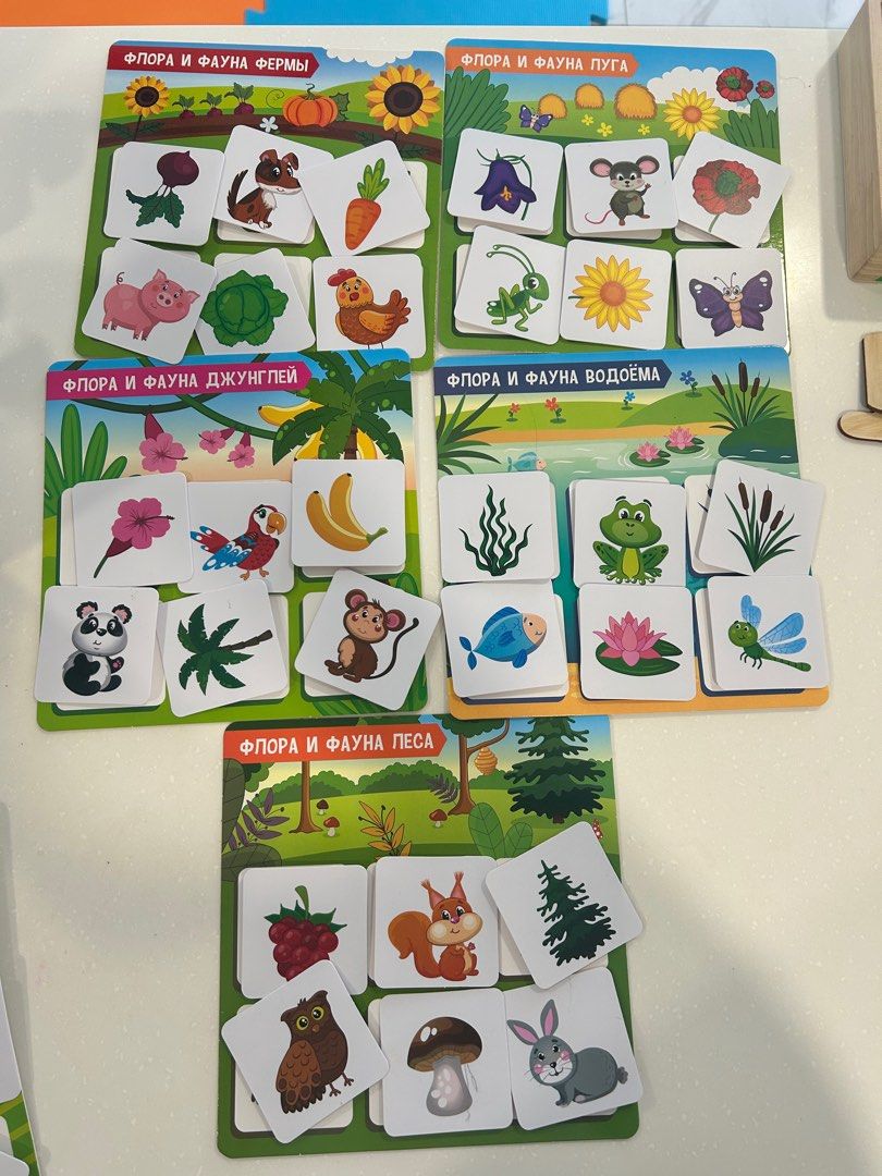 Animals and plants shadow Velcro puzzles, Hobbies & Toys, Toys & Games ...